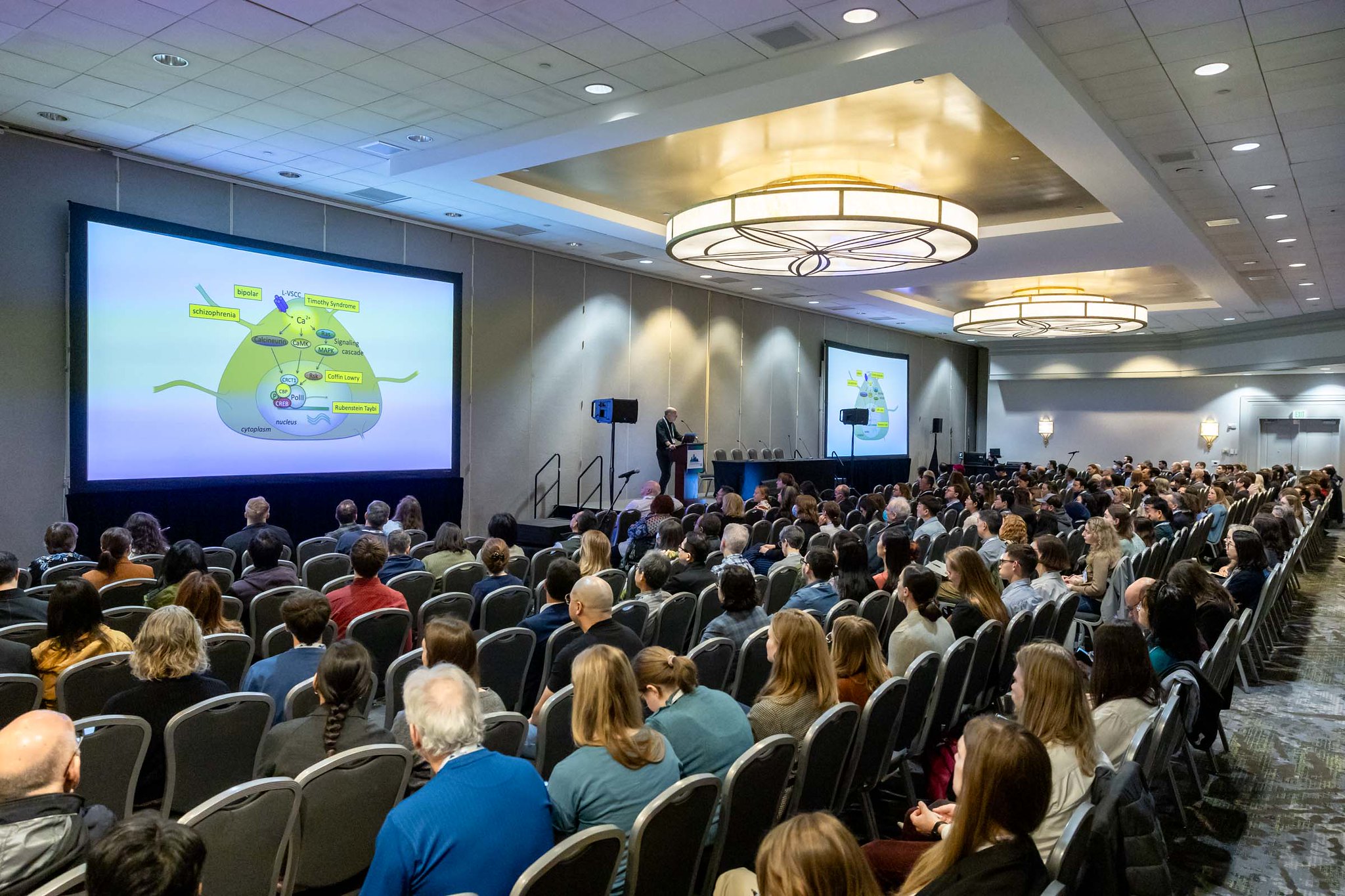 ASN 2026 | Advancing Neurochemistry & Brain Research